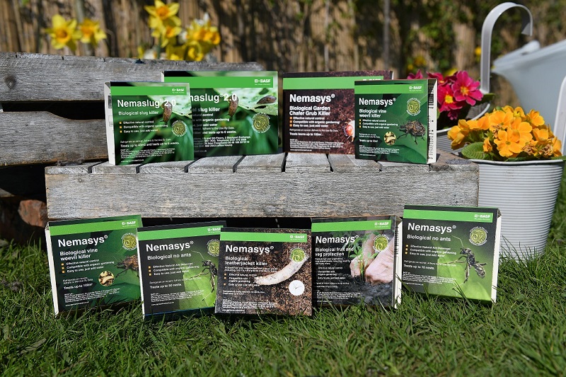 How to use beneficial nematodes this summer | Landscape & Amenity