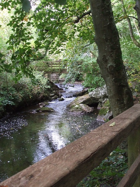 New formulation offers wider range of use for Ecoplug Max | Landscape ...