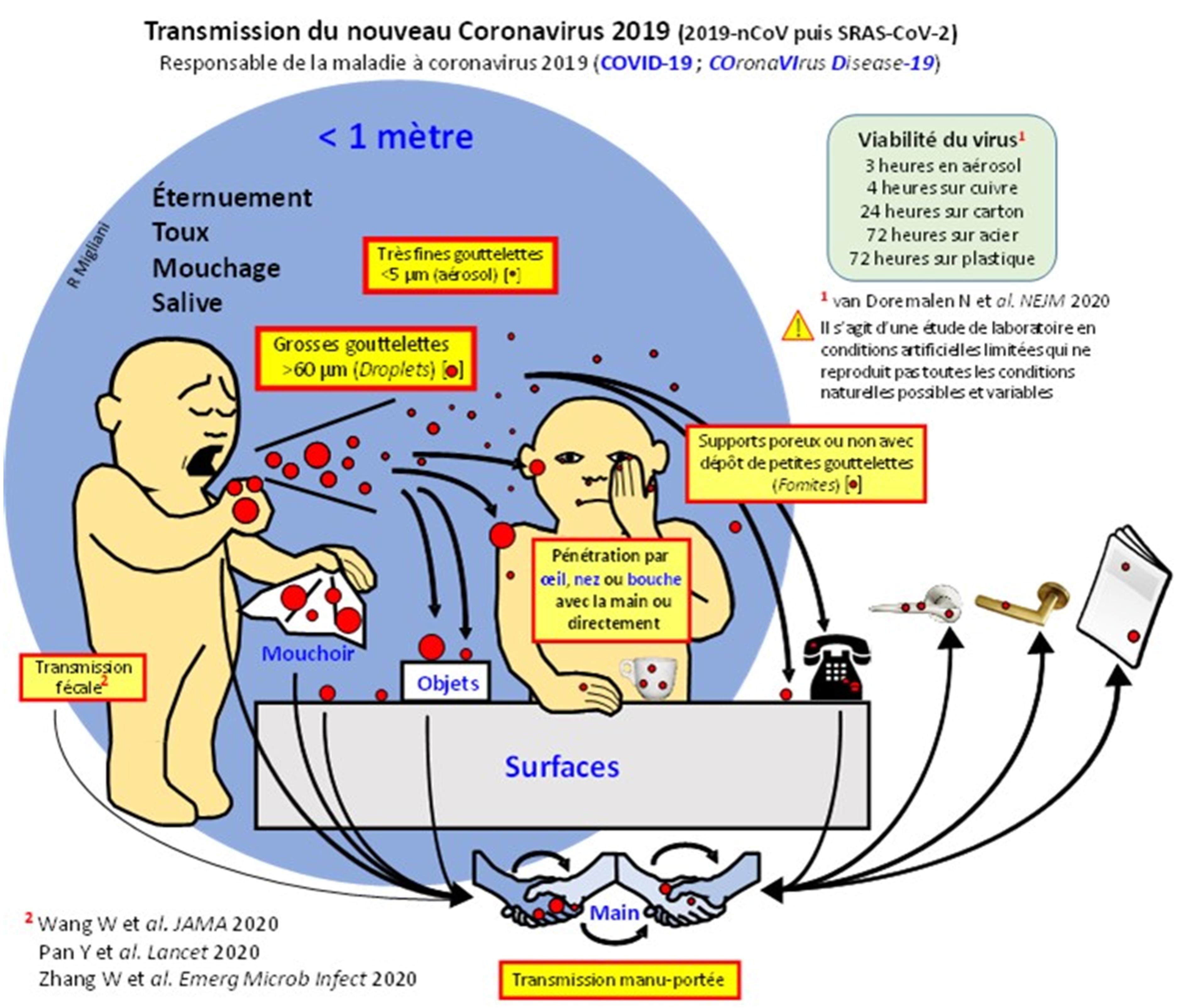 Situation hebdomadaire de la pandémie de Covid-19 - N° 5 - 22 avril ...
