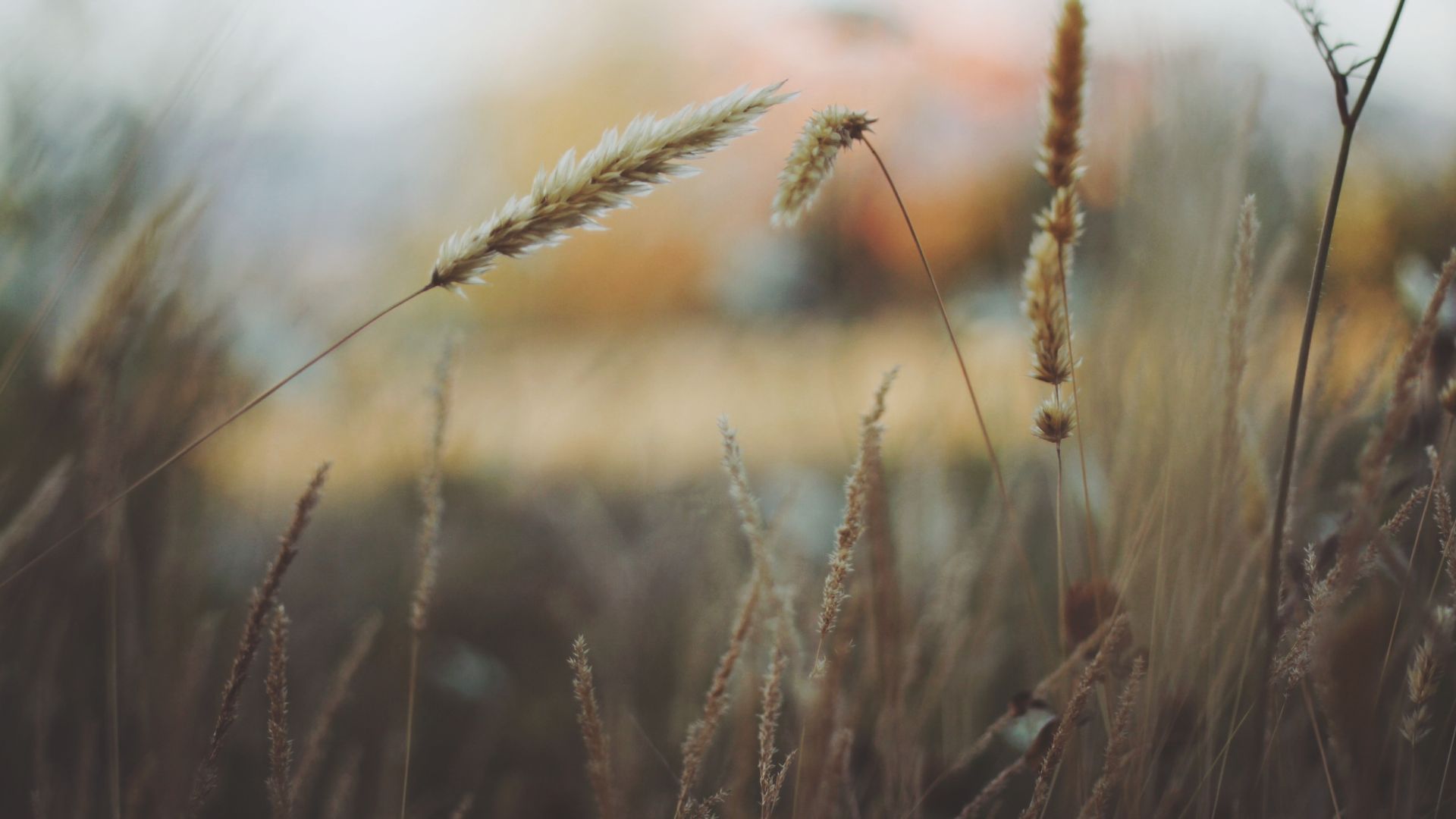 Can You Fathom Out Video Mapping? Biglietti, 15 settembre 2022 11:11 ...