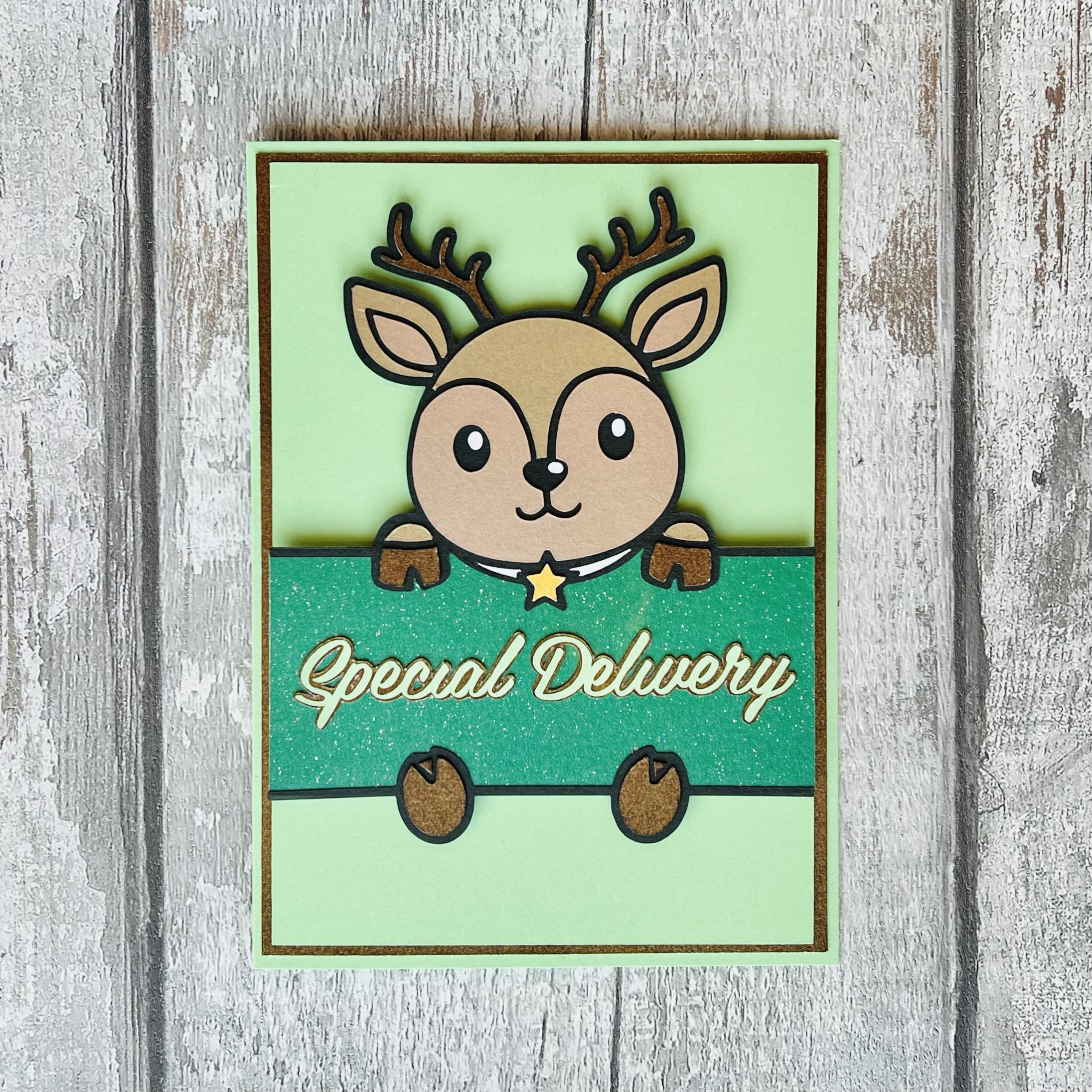 A Special Christmas Delivery