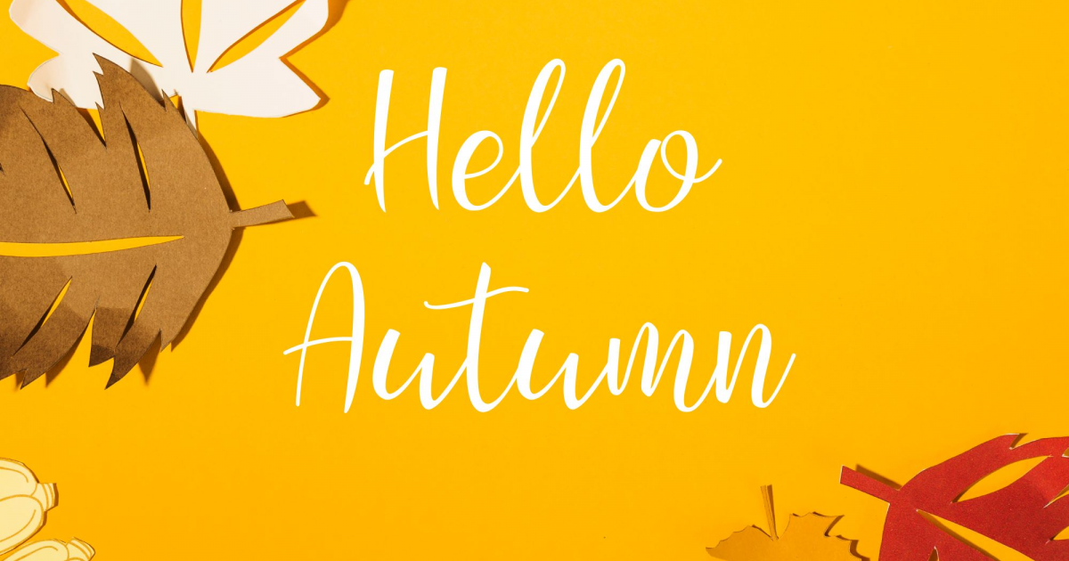 Papermill Direct | Autumn is here!