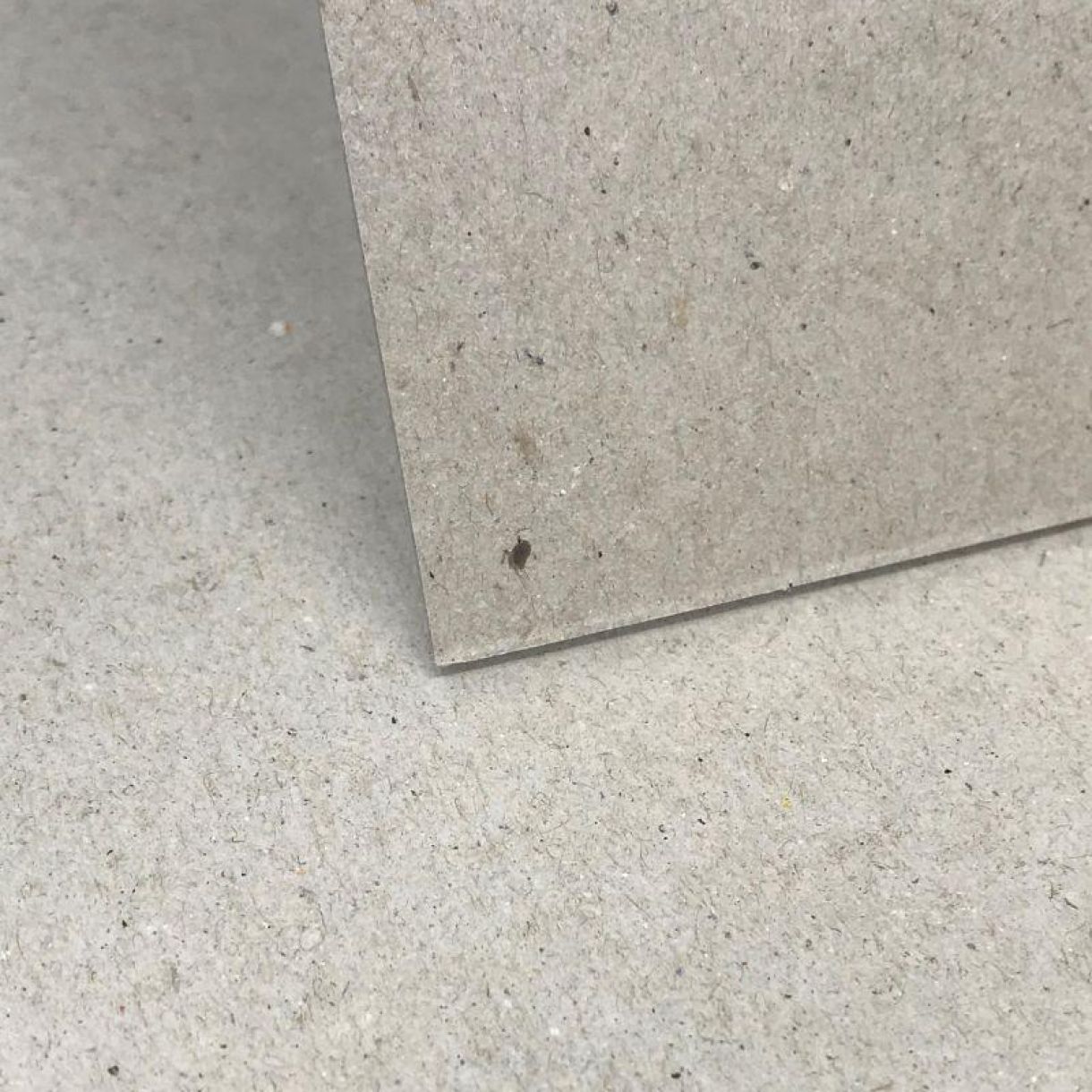 What is Greyboard and what is it used for? | Greyboard at Papermill