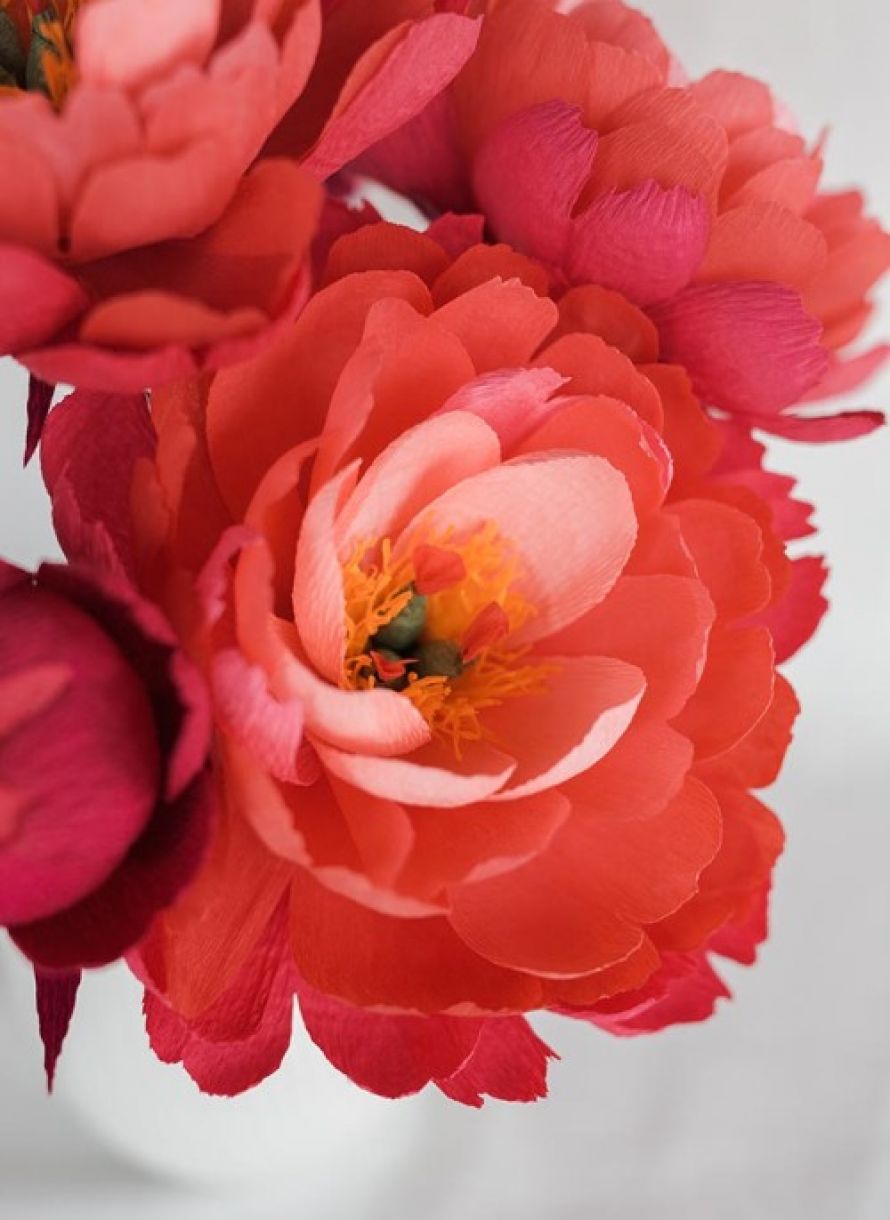 Paper Flowers - Make a Peony