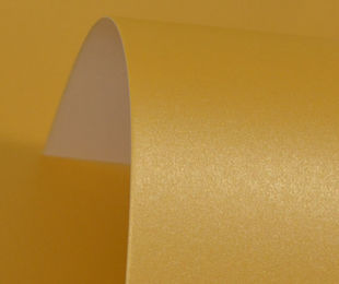 Paper & Card Sample Boxes | Ten Samples for Just £1 & No Shipping…