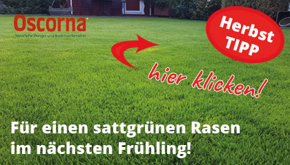 RUBART.DE - Werkzeug sicher, schnell und günstig online kaufen mit Top ...