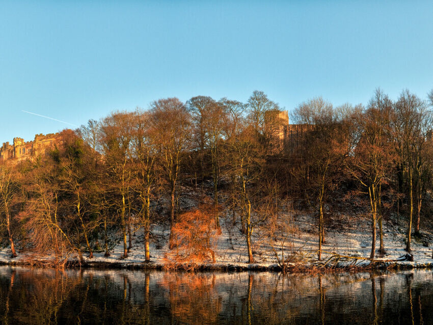 Peter Moss Bespoke Flooring Ltd | Flooring Durham | Carpets North East ...