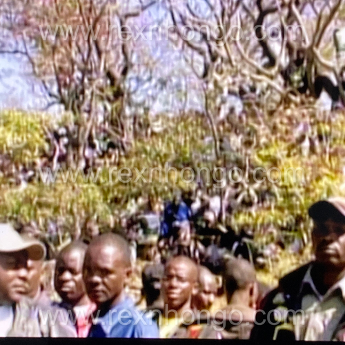 Gallery | Army and Politics in Zimbabwe | Solomon Mujuru | Rex Nhongo