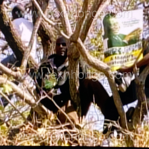 Gallery | Army and Politics in Zimbabwe | Solomon Mujuru | Rex Nhongo