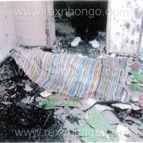 Gallery | Army and Politics in Zimbabwe | Solomon Mujuru | Rex Nhongo