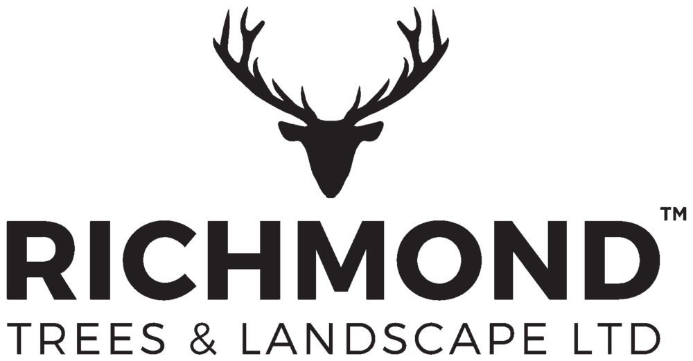 Richmond Trees and Landscape Ltd | Garden Maintenance Wimbledon | Tree ...