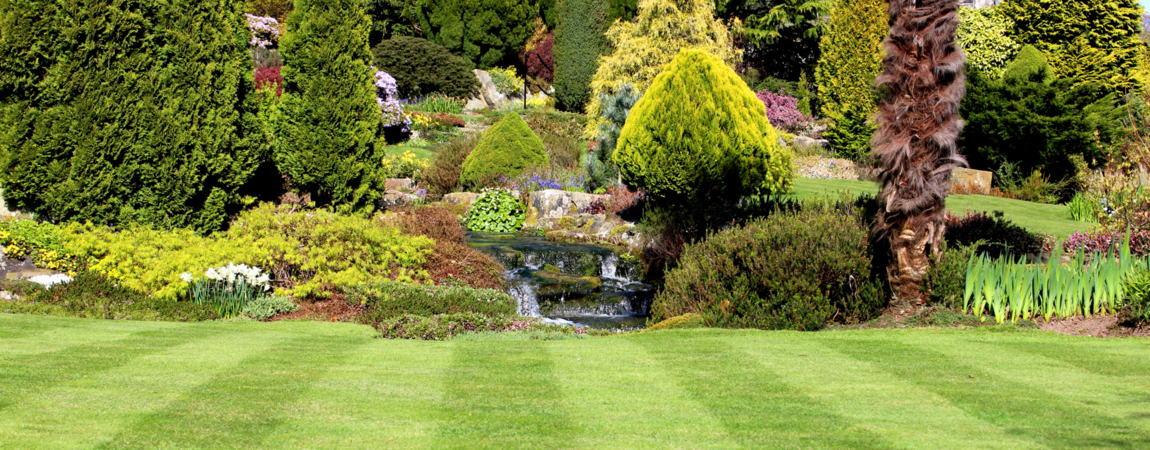 Richmond Trees and Landscape Ltd | Garden Maintenance Wimbledon | Tree ...