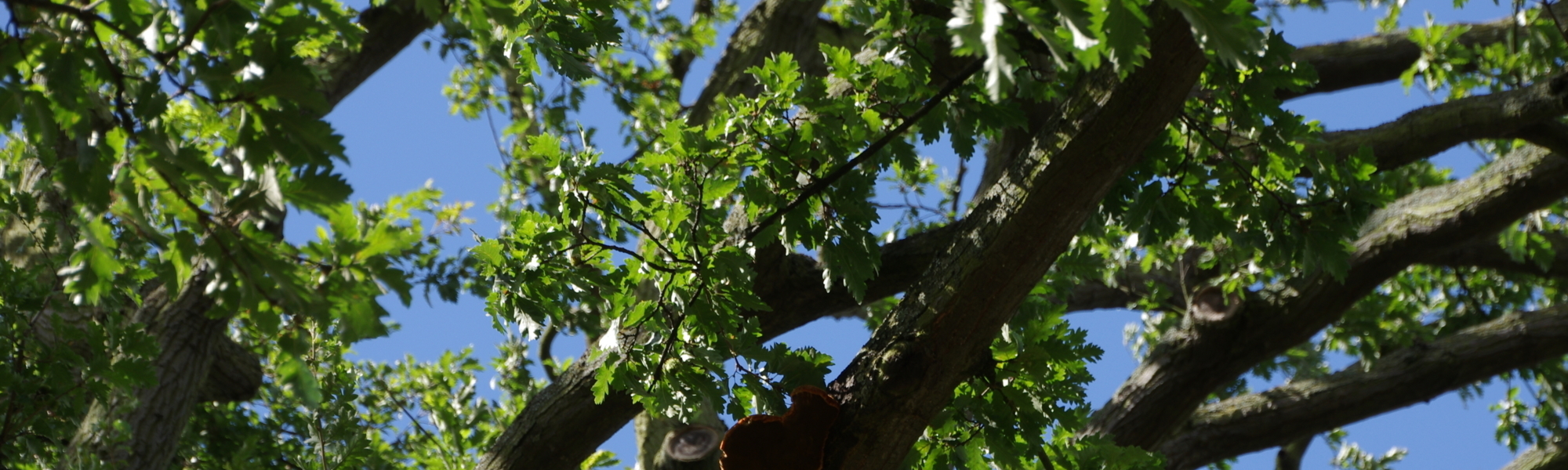 CTS Environmental Management Ltd