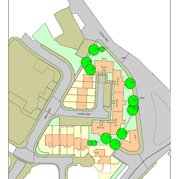 Tree Surveying & Management | CTS Environmental Management Ltd