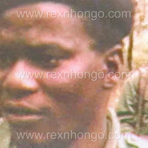 Gallery | Army and Politics in Zimbabwe | Solomon Mujuru | Rex Nhongo