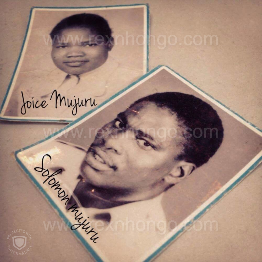 Gallery | Army and Politics in Zimbabwe | Solomon Mujuru | Rex Nhongo