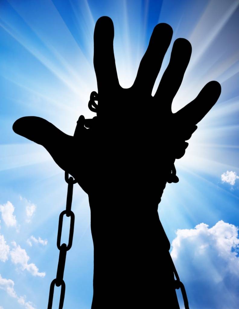 ¡ Libertad ! Por Jorge Hernández Mollar - La Paseata