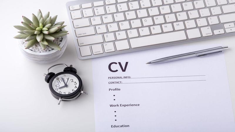 CV Writing: The Guide To Success