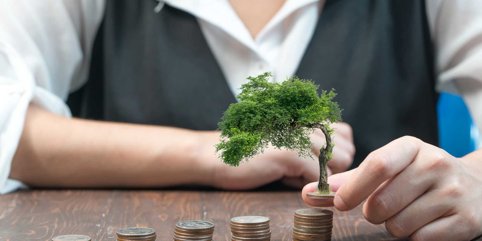 UK accountancy profession takes next step towards net zero | AAT news