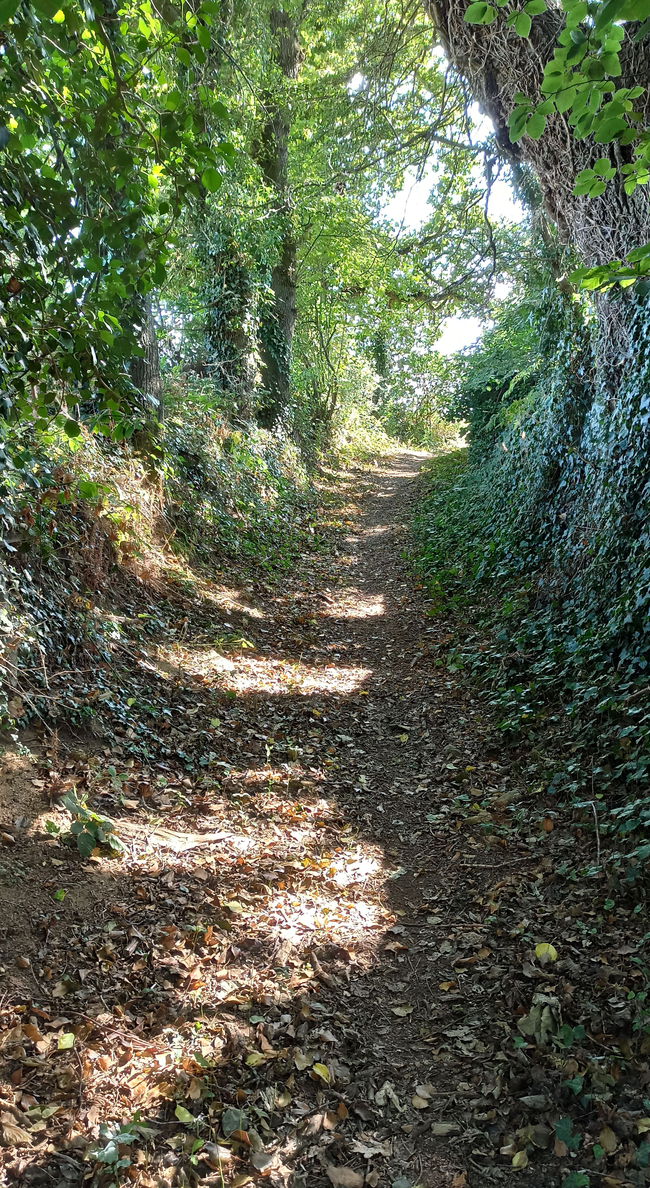 Forêt naturelle et parc botanique en Côtes d'armor - Ulule