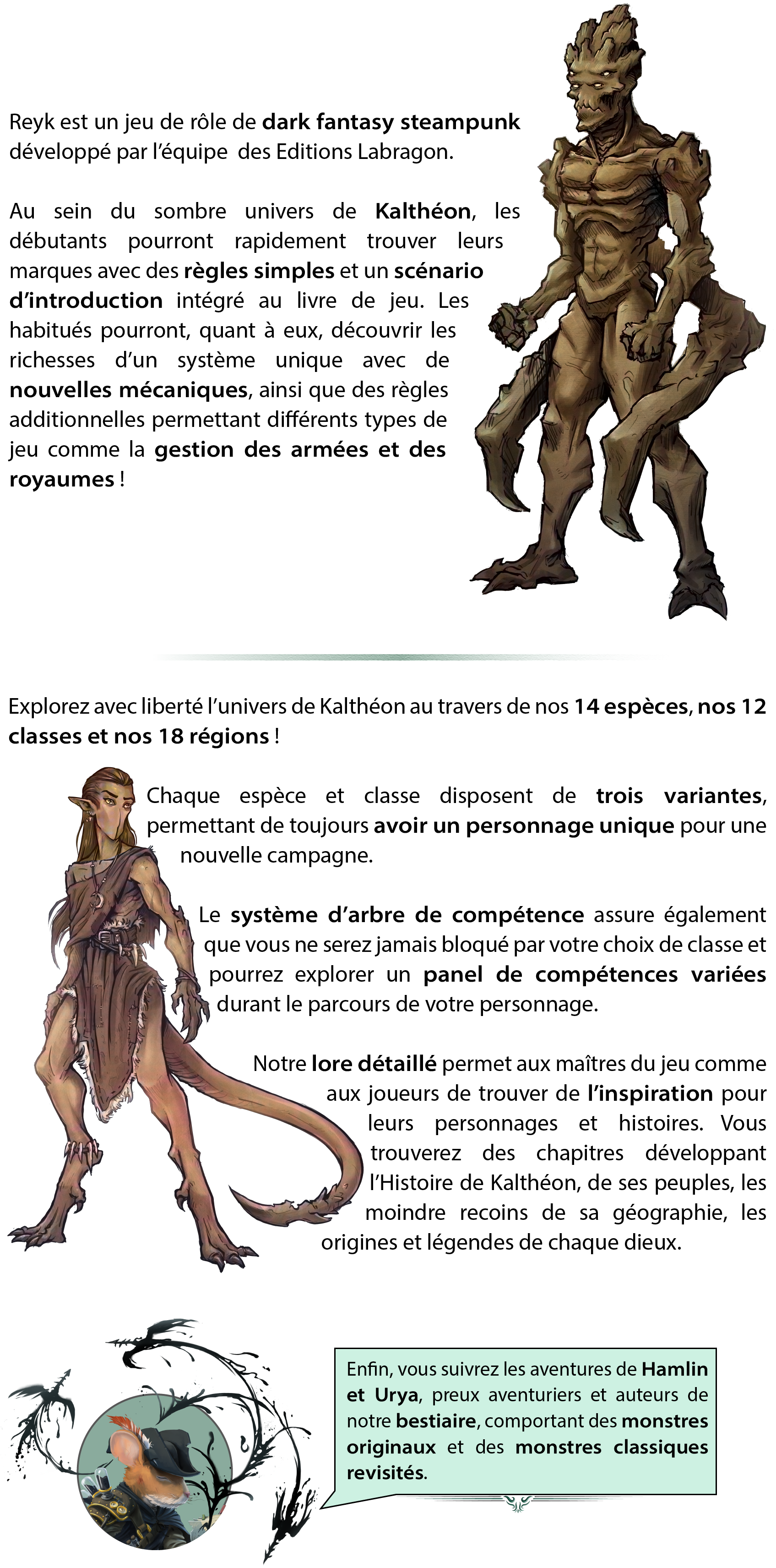 REYK - Le Jeu de Rôle - Ulule