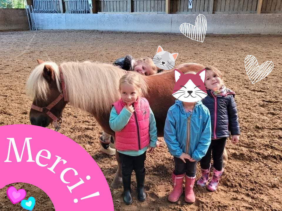 Sauvons l'ASBL équestre du Val de Lienne (2ème palier ! 💪) - Ulule