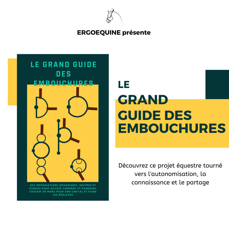 Le Grand guide des embouchures