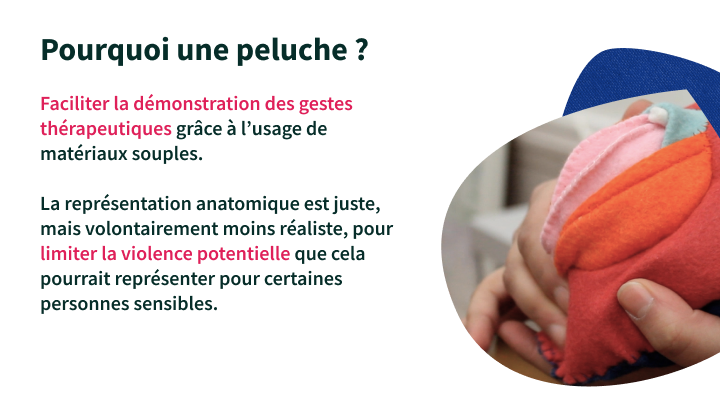 ⏳ J-0 !⏳ Vulvette, la peluche pédagogique de Vulvae