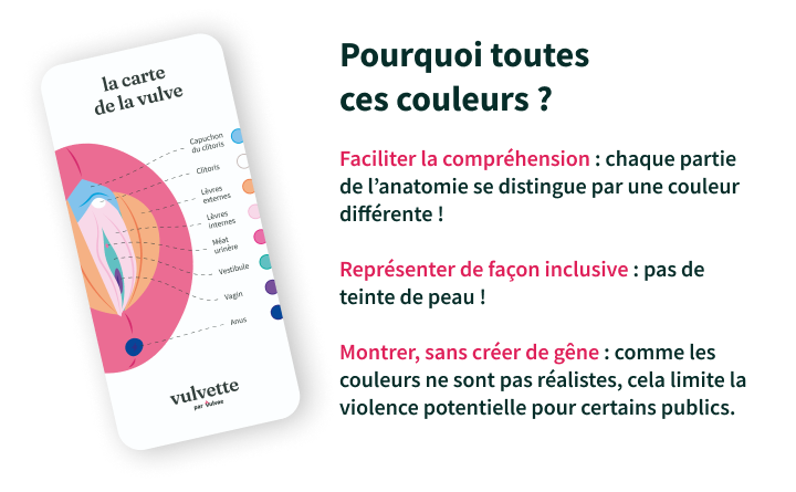 ⏳ J-0 !⏳ Vulvette, la peluche pédagogique de Vulvae