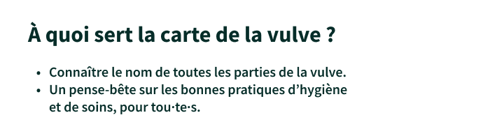 Vulvette, la peluche pédagogique - 2ème édition