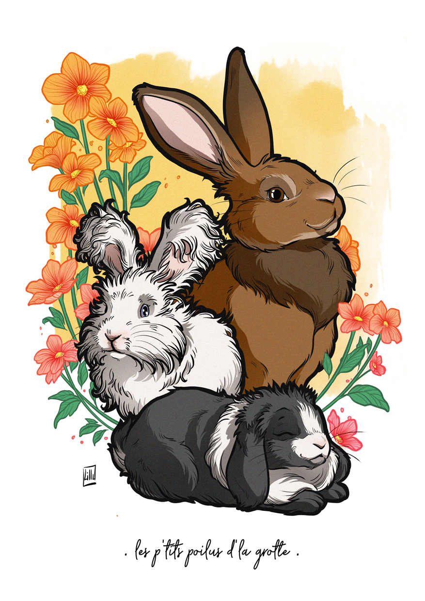 Sauvons les lapins de laboratoire ! - Ulule