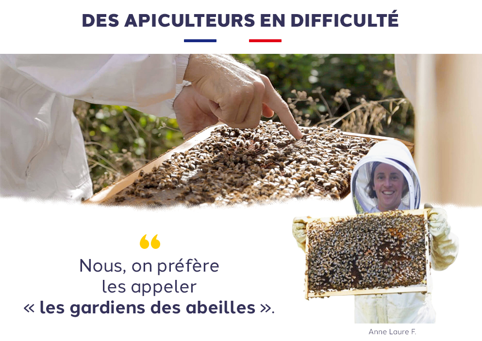 🐝 La vitrine solidaire des apiculteurs et des abeilles 🍯 - Ulule
