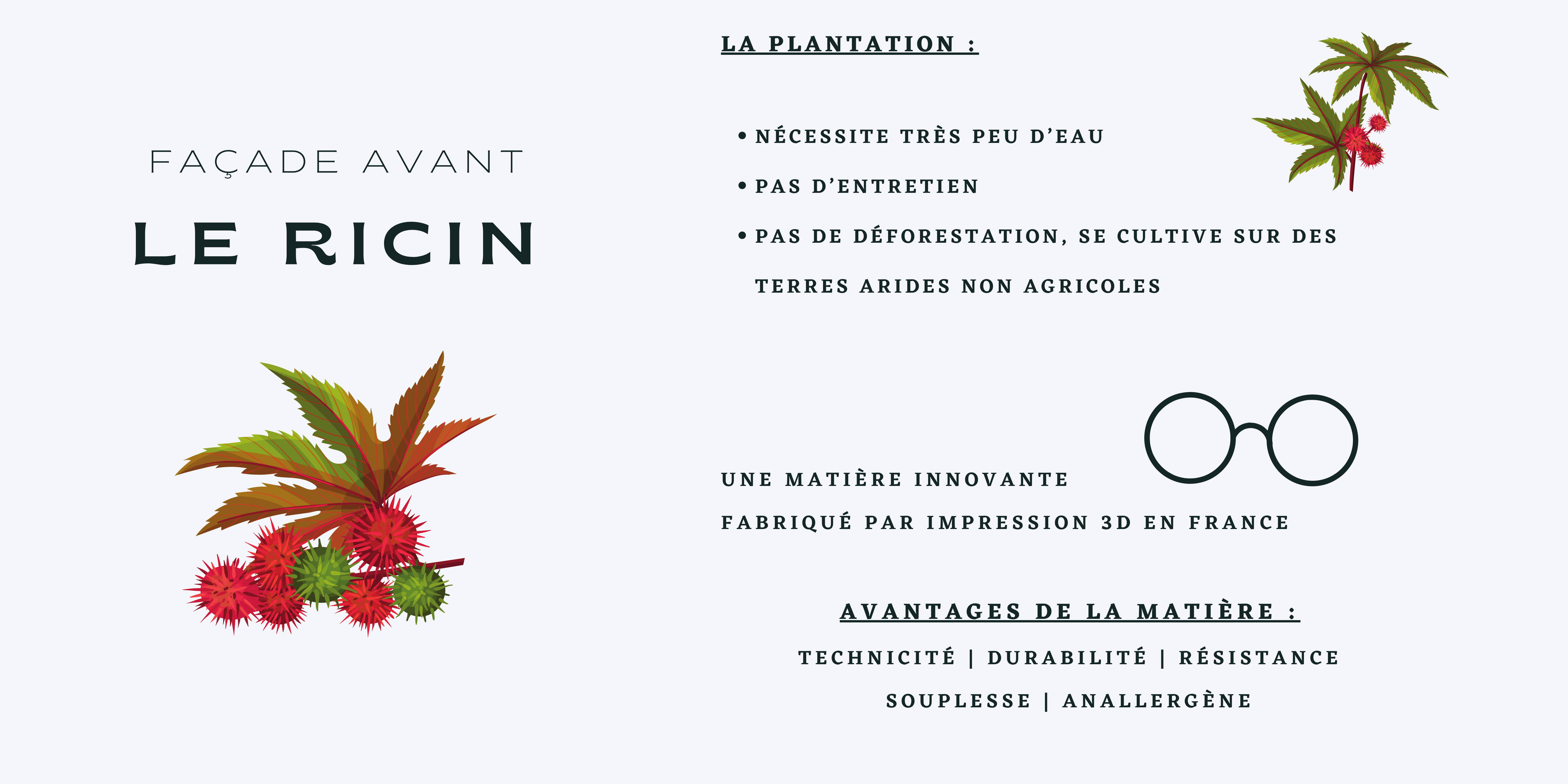 BORIZON | Lunettes en ricin & upcycling de fût viticole - Ulule