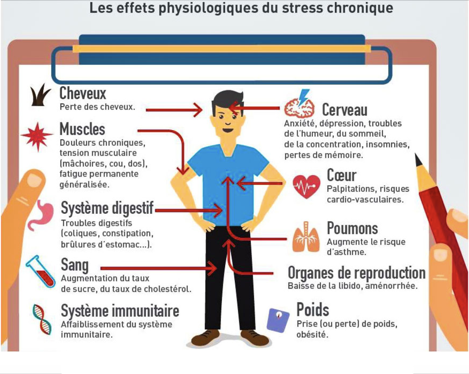 Combattre le stress chronique, ce tueur silencieux. - Ulule