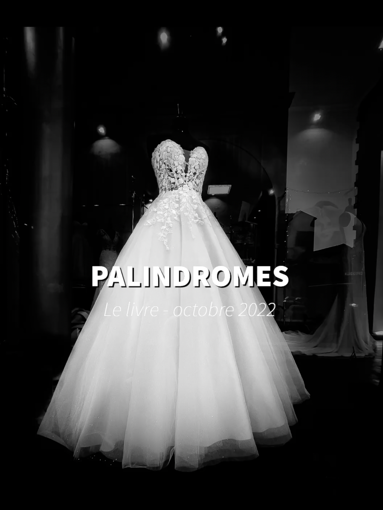 Ulule - Crowdfunding with a twist: success!