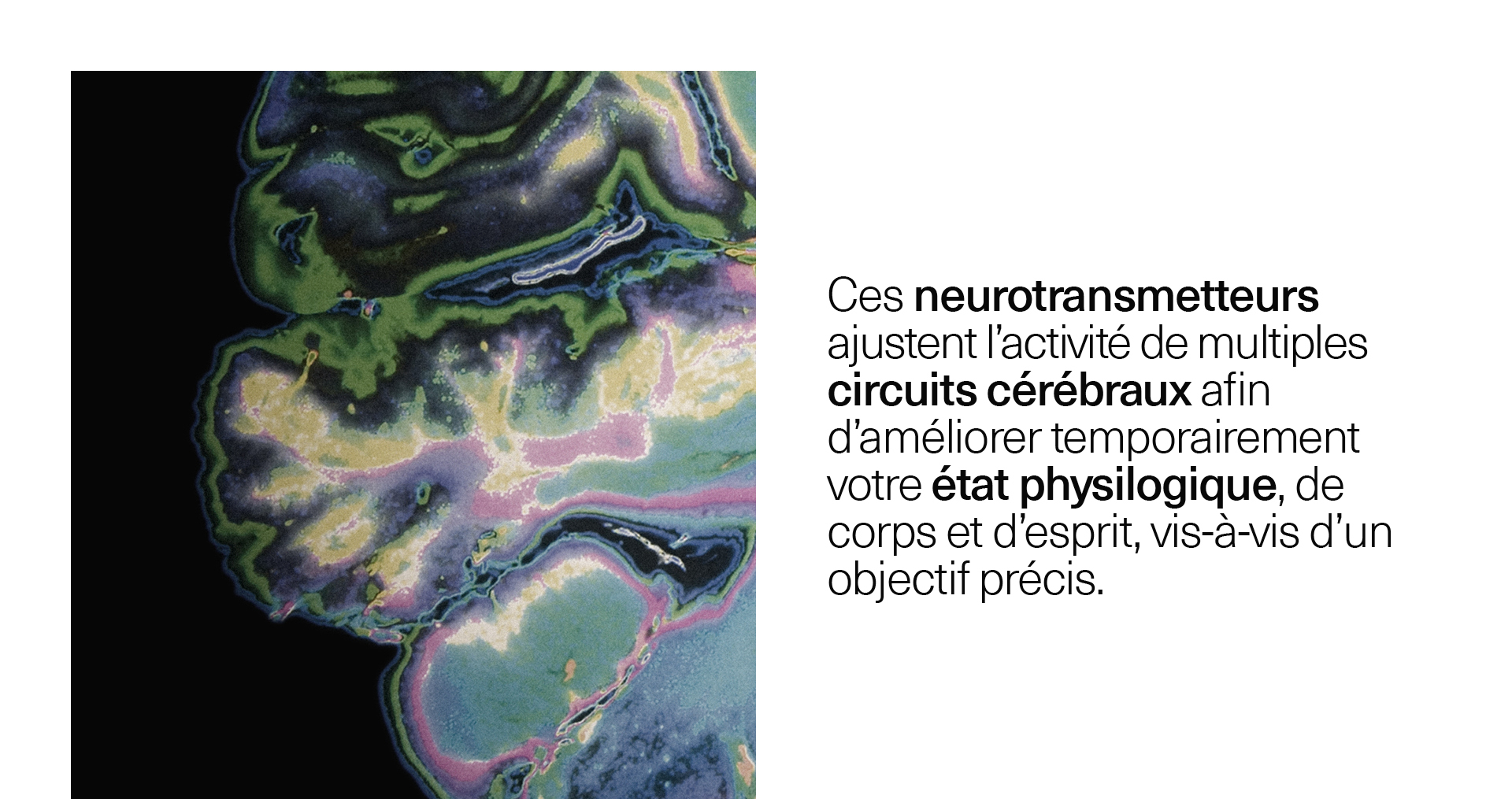 ACTIVATE - Performance intellectuelle et physique