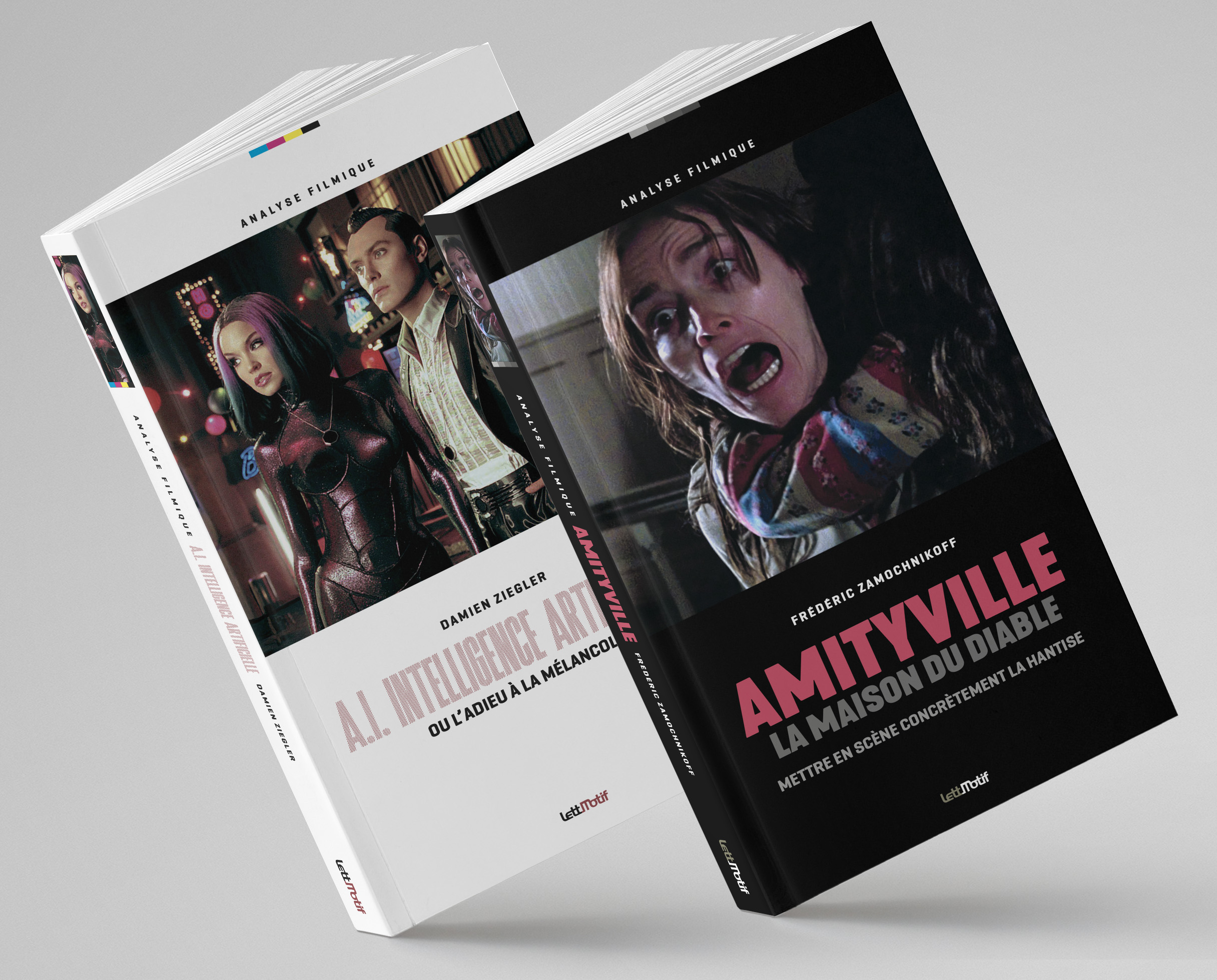 Amityville, la maison du diable (le livre)