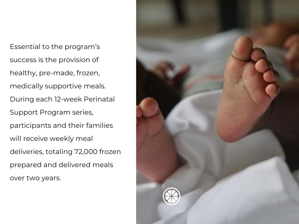 Perinatal Support Program 2024