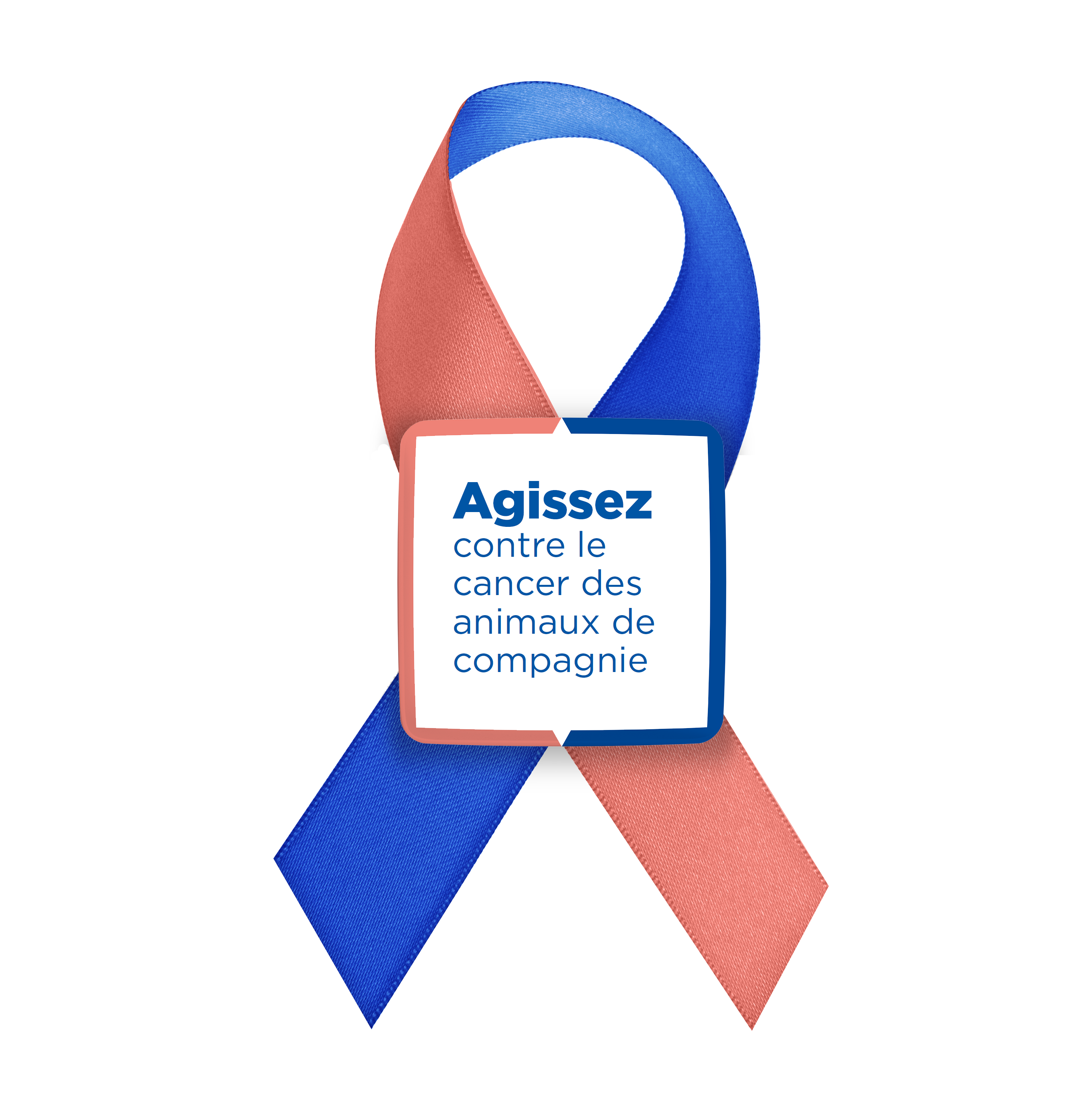 Soutenez la lutte contre le cancer des animaux