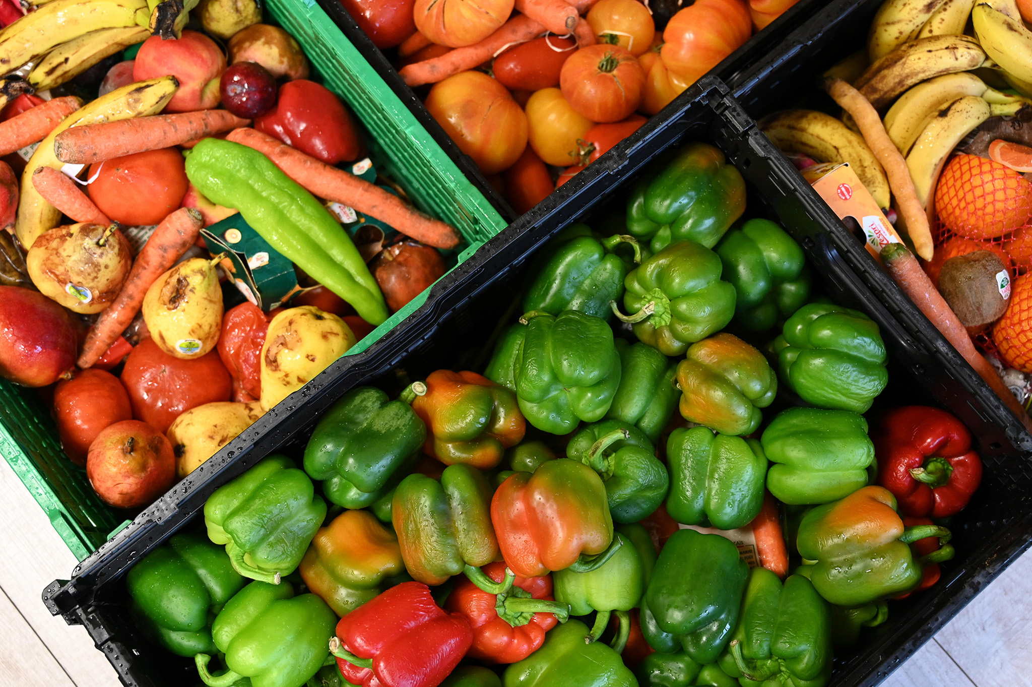 Atelier REBOND, les fruigumes de l'insertion ! - Ulule