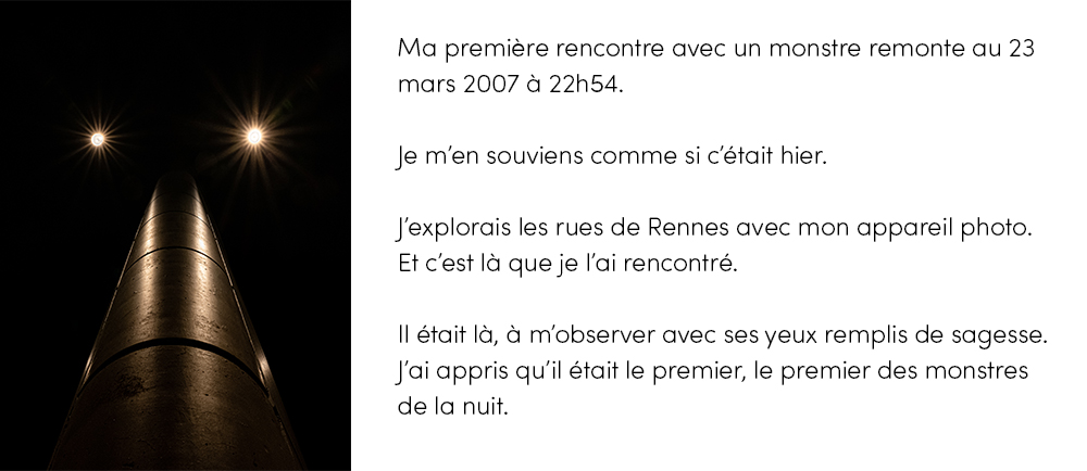 Les monstres de la nuit [livre photo] - Sébastien Roignant - Ulule