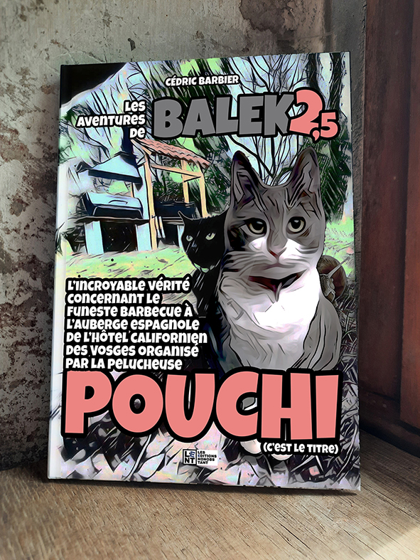 Balek, le chat le plus blasé du web, revient. - Ulule