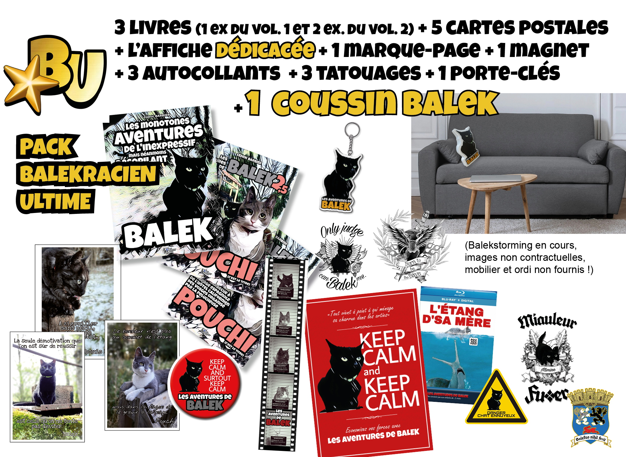 Balek, le chat le plus blasé du web, revient. - Ulule