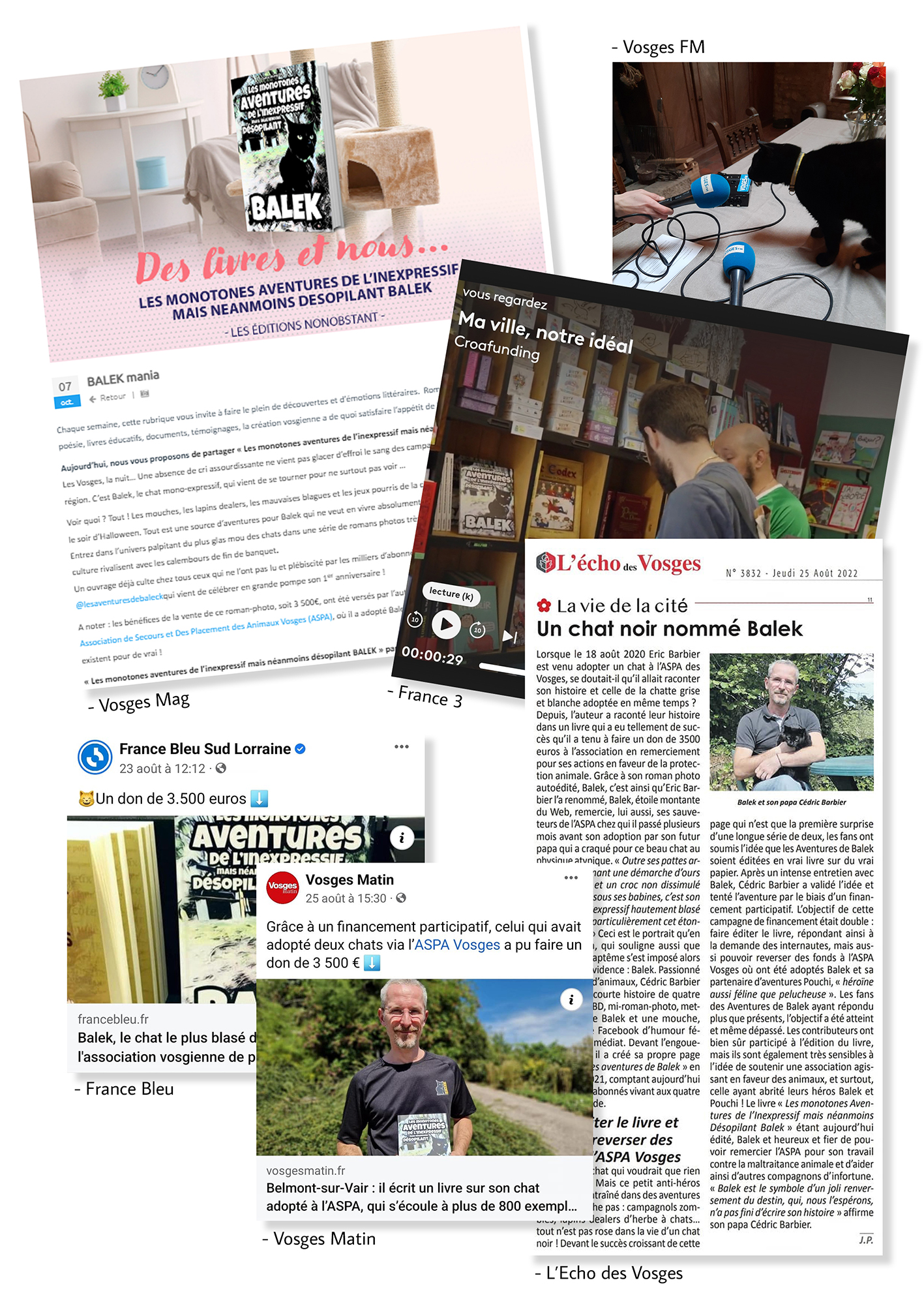 Balek, le chat le plus blasé du web, revient. - Ulule