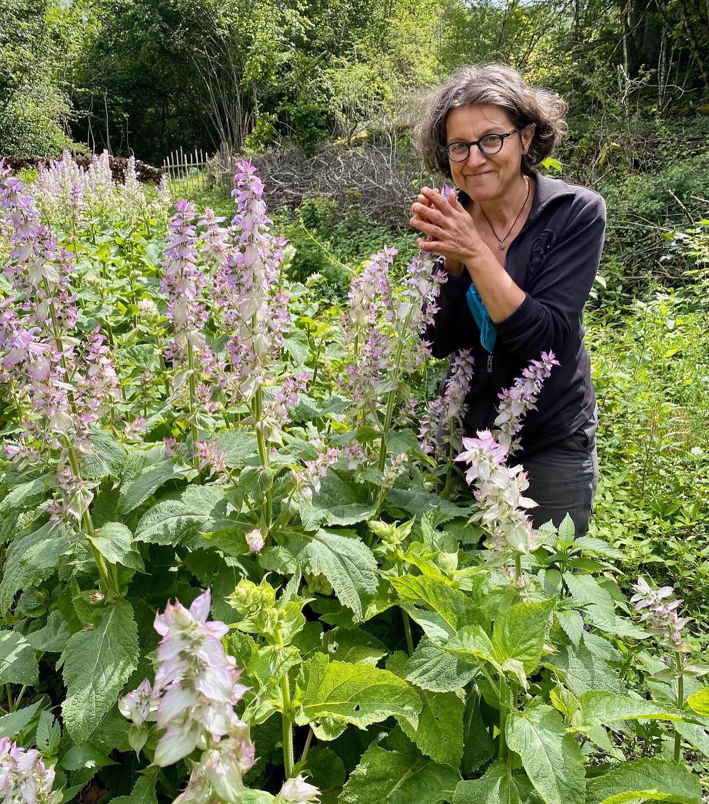Soutenir "Les jardins de la sauge" 100% Bio et Français - Ulule