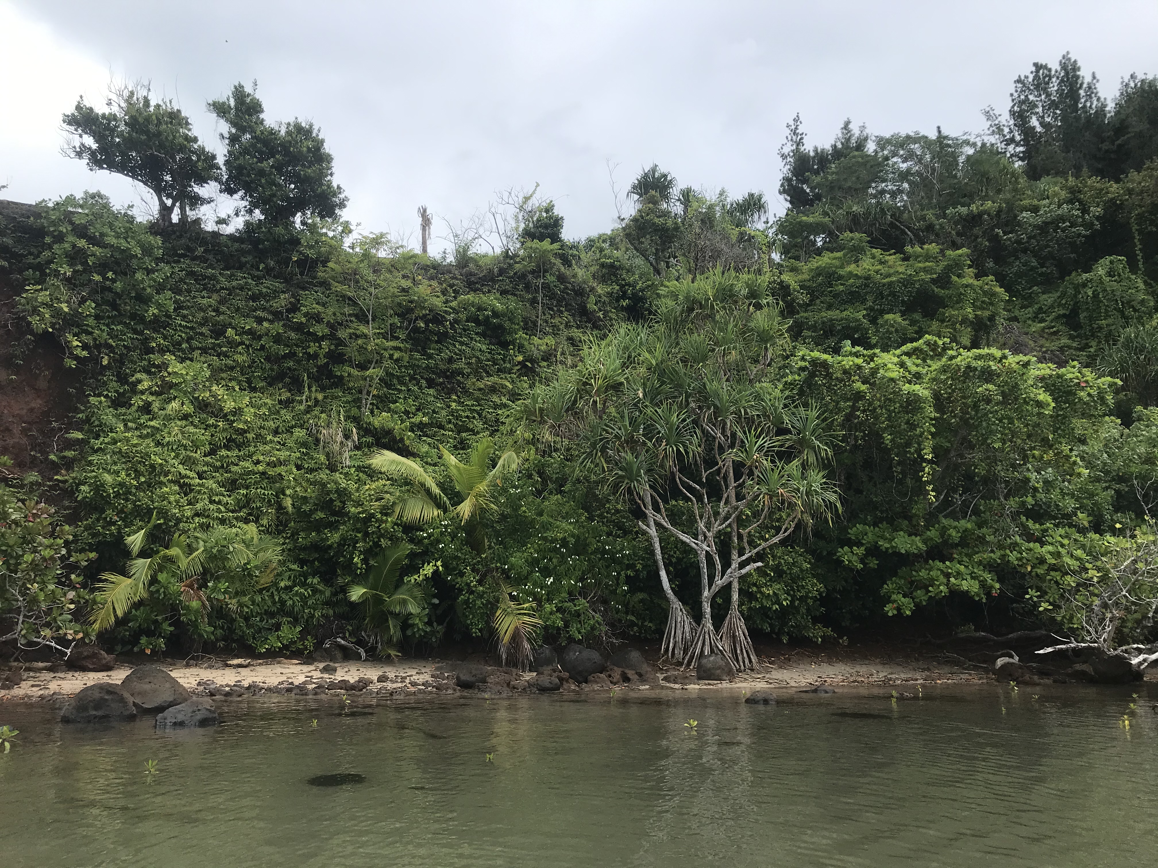 Wallis et Futuna, une plage, un patrimoine. - Ulule