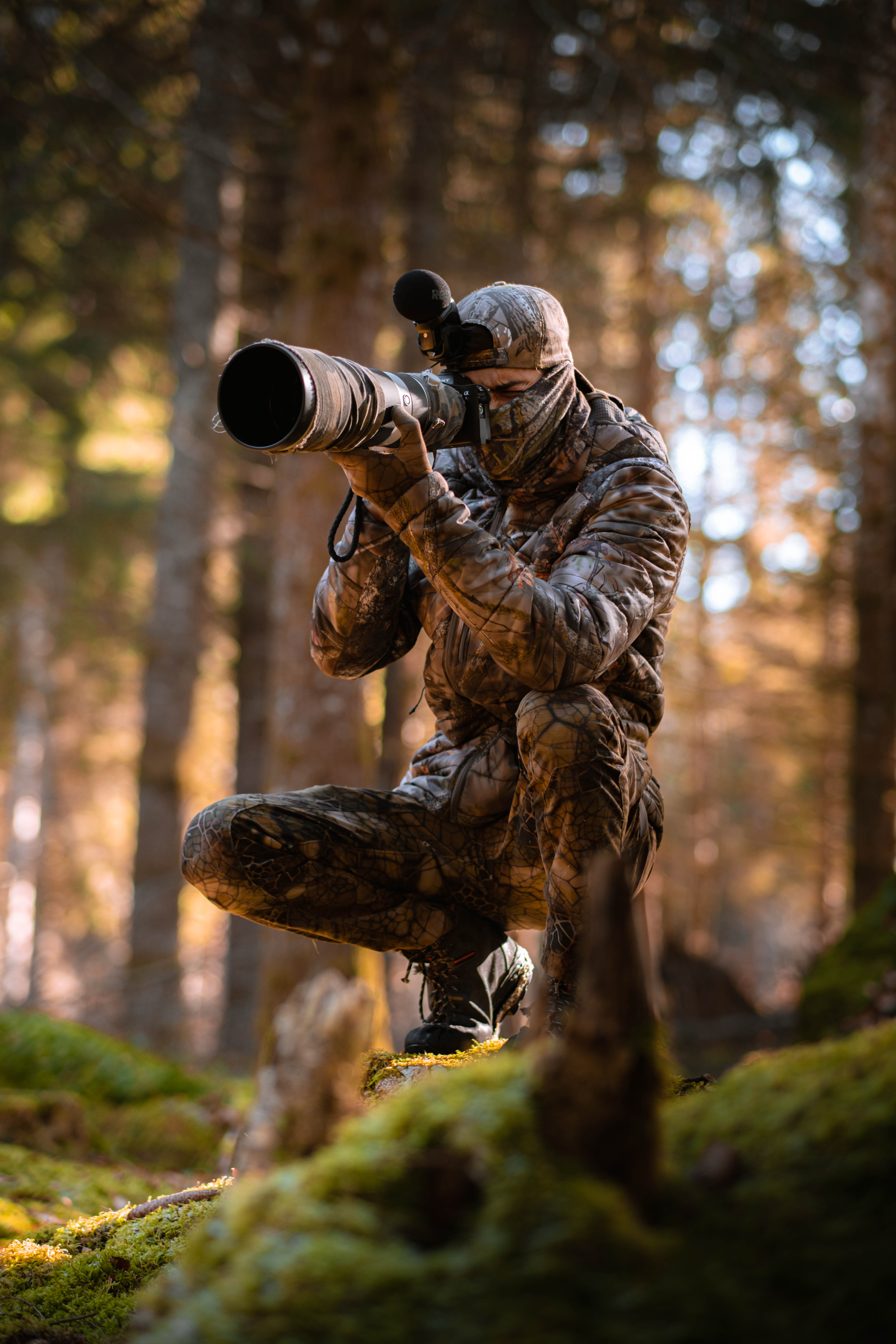 REVUE DE PHOTOGRAPHIE NATURE "La Voix du Sauvage" - Ulule