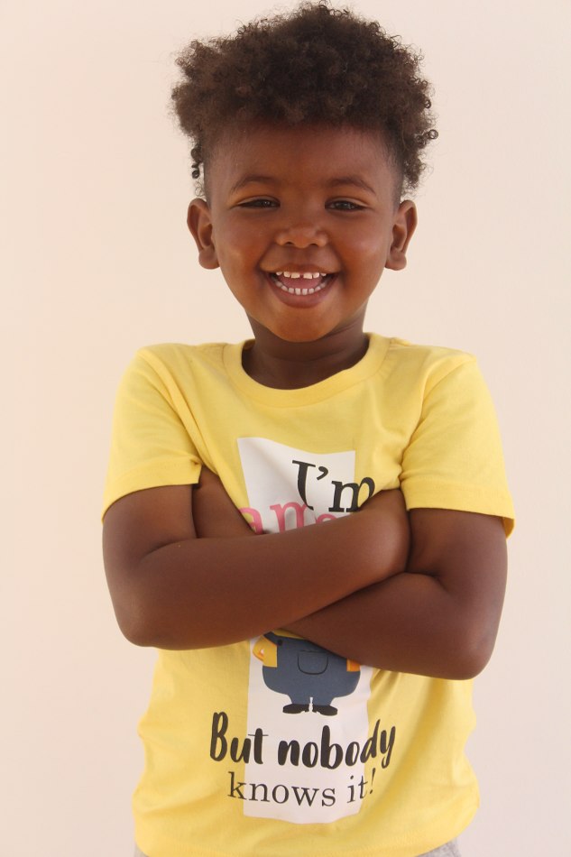 Sage by Pulse Model Management