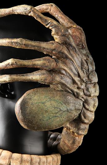 ALIEN VS. PREDATOR (2004) - Special Effects Facehugger - Current price ...