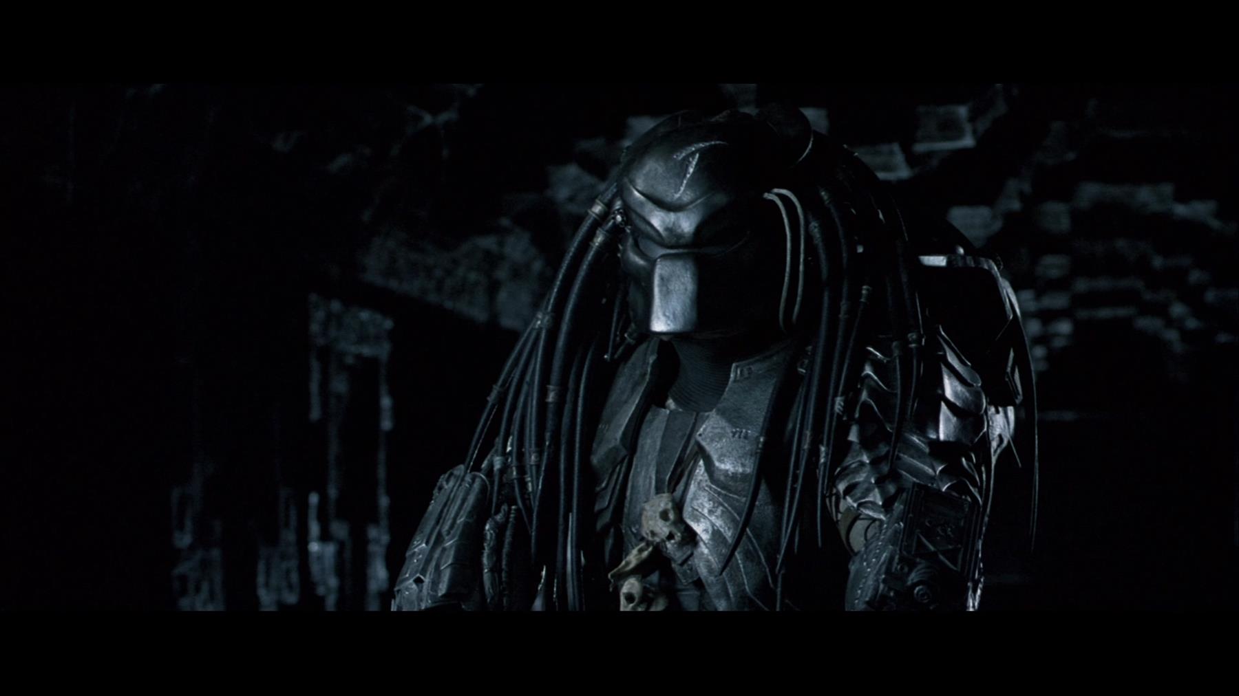 ALIEN VS. PREDATOR (2004) - Scar Predator (Ian Whyte) Creature Costume ...